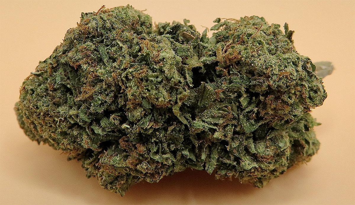 Best Medical Marijuana Strains 2025: Complete Patient's Guide - Miss ...